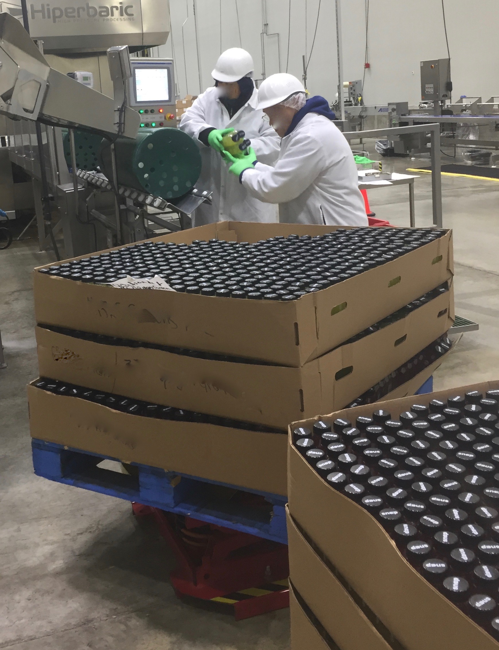 Ergo Friendly HPP Material Handling Solutions and Equipment